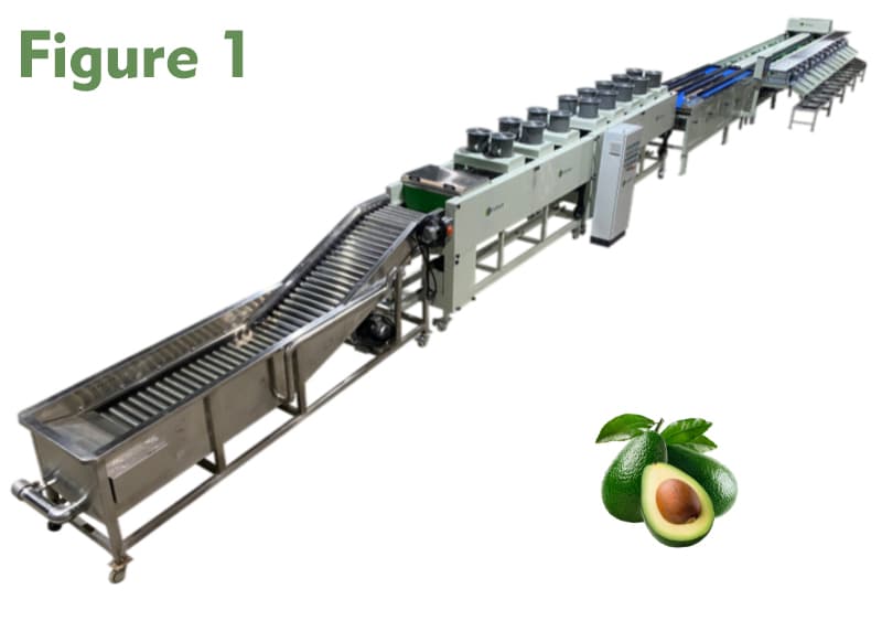 What is the status of the factory that bought the avocado line a year ago